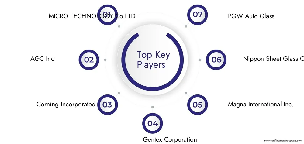 Lithium Aluminosilicate (LAS) Glass-Ceramics (GCs) Market Size, SWOT ...