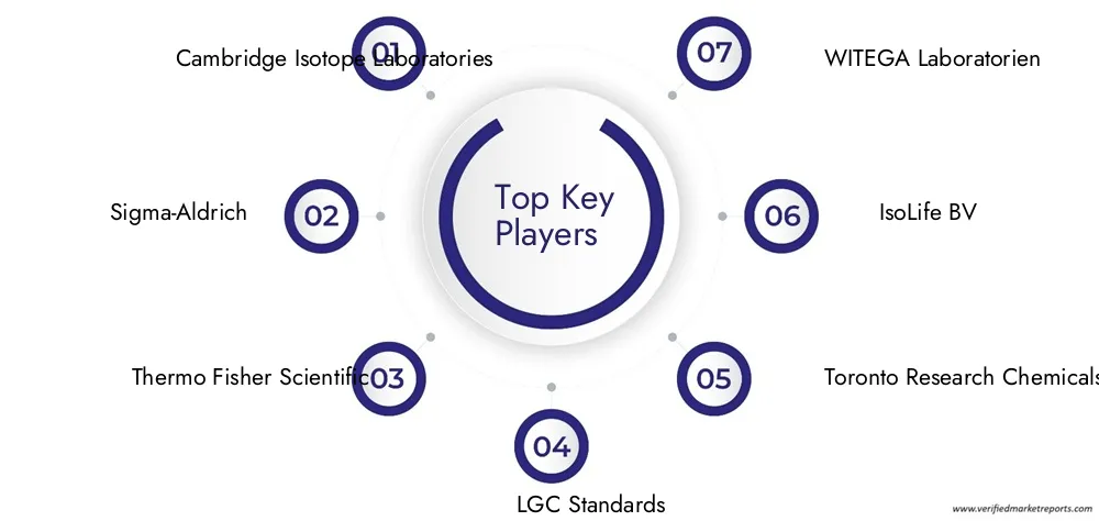 C13 Stable Isotope Labeled Biomolecules Market Size & Forecast [2034]