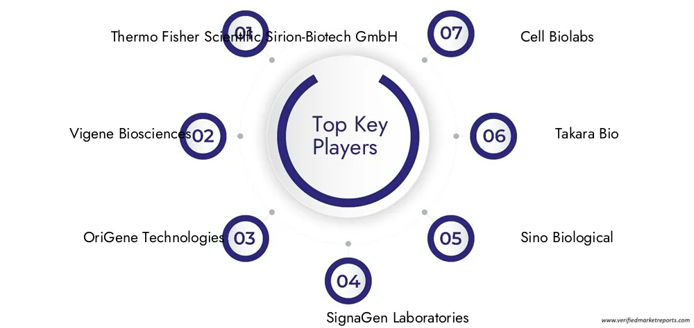 Lentiviral Vectors Market Size, Share, Trends & Forecast [2034]