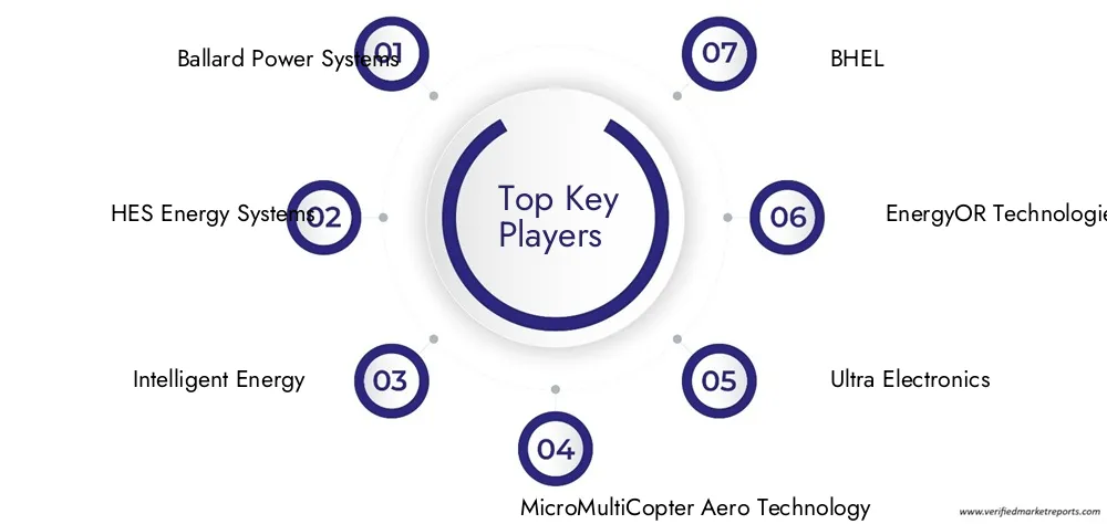 Small and Tactical UAV Fuel Cell Market Size, Share, Industry Trends ...