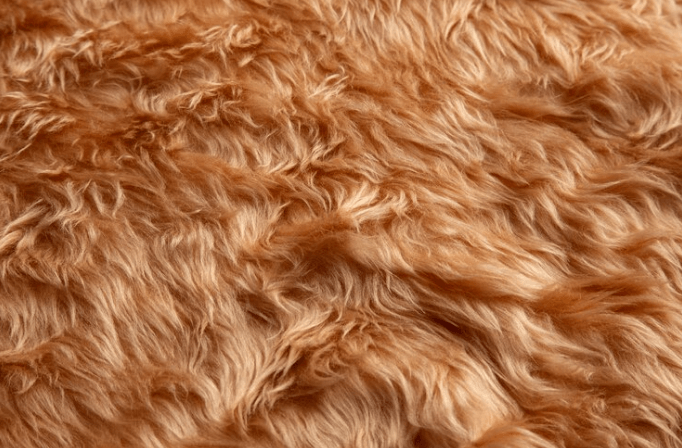 Top 7 Trends In Animal Fiber Fabrics| Growth & Innovations